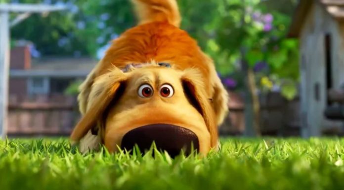 Get Ready For Dug Days: Pixar Trailer and Five New Shorts - Cinelinx ...