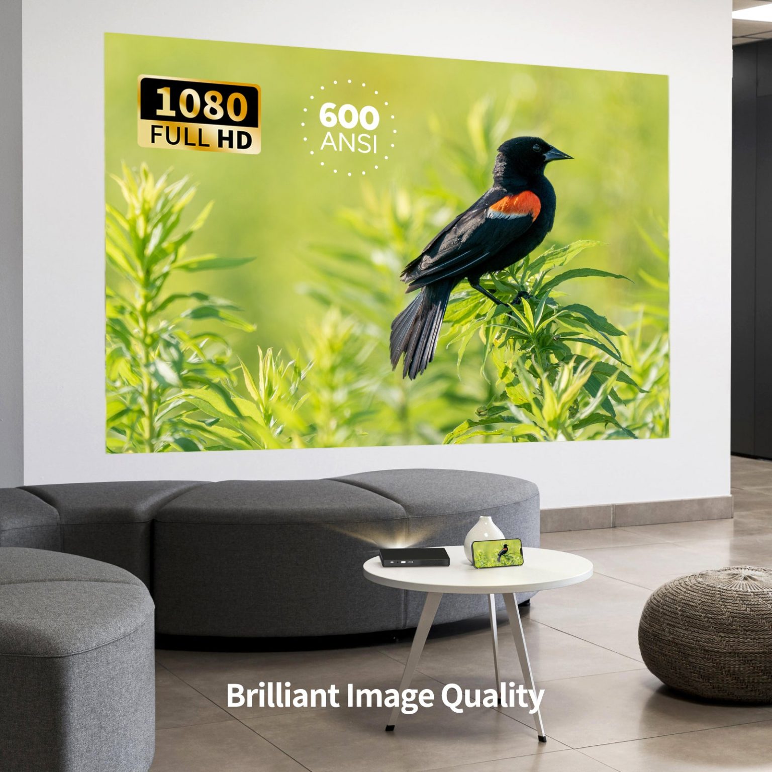 Wemax Go Advanced Portable Projector is Small on Scale, Big On Quality ...