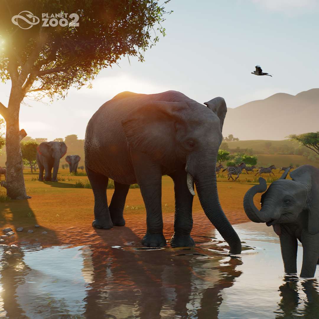 Planet Zoo 2 Promises to Be Bigger, Bolder, and Wilder Than Before ...