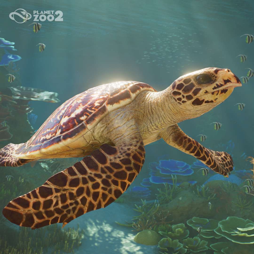 Planet Zoo 2 Promises to Be Bigger, Bolder, and Wilder Than Before ...